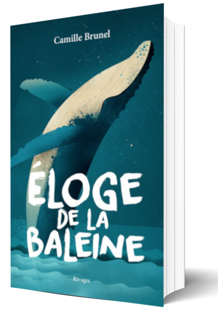 #22-48 : Eloge de la baleine – Chouette C'Fée Main